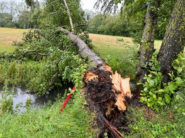 Golf Homepagina · De Kieviten